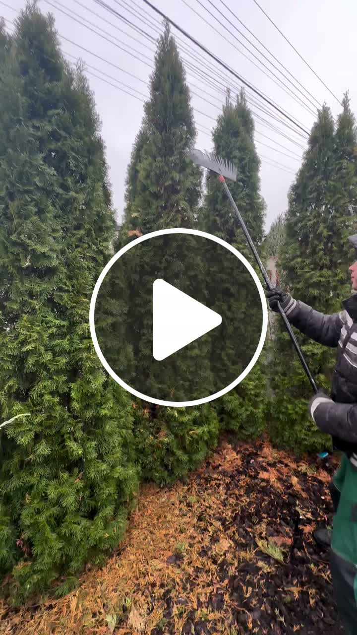 New York bartender serves table of 6. Then they tell her to go home ...