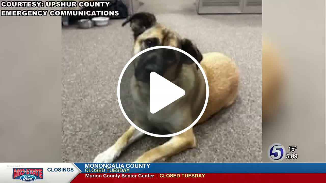 United Way of Harrison, Doddridge County seeks new executive director ...