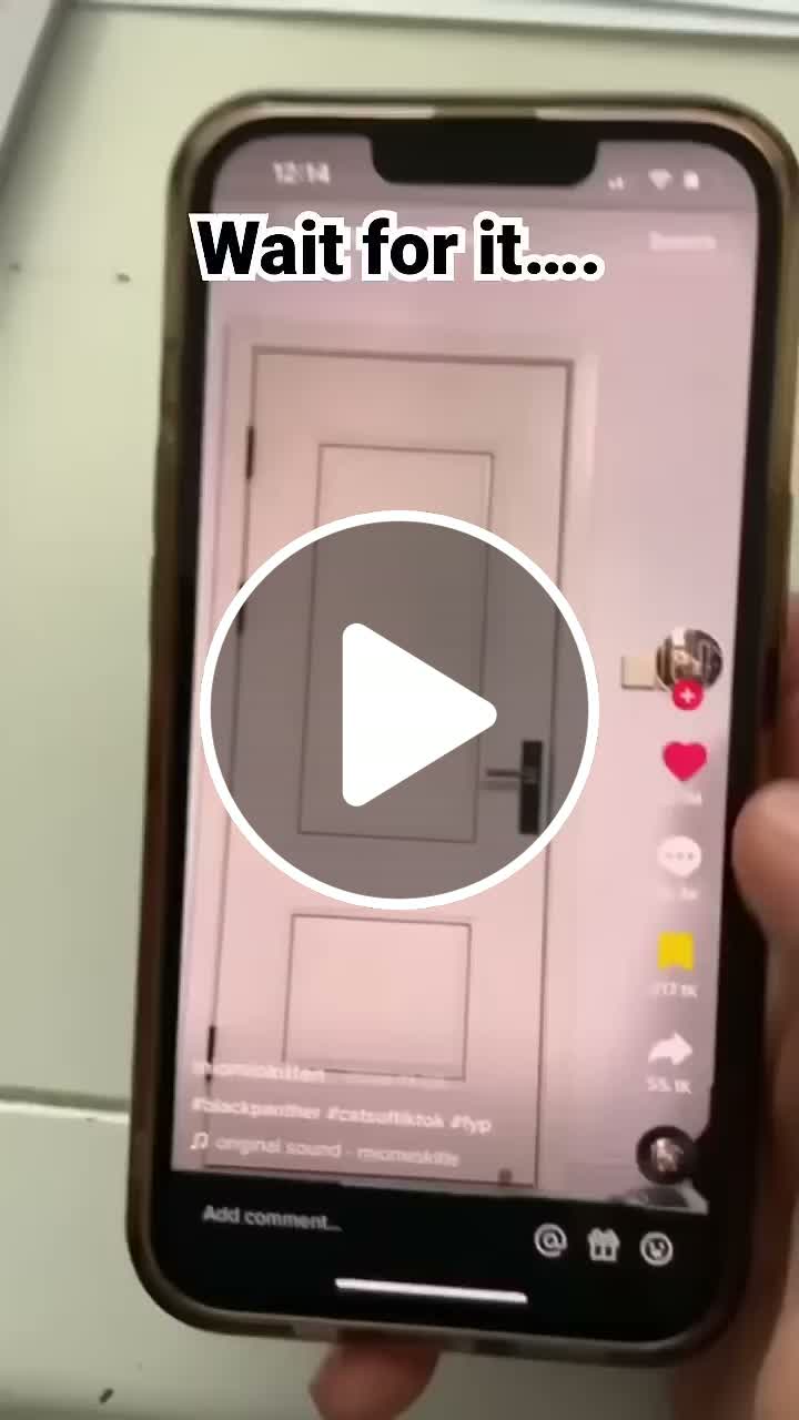 Wait for it - NewsBreak