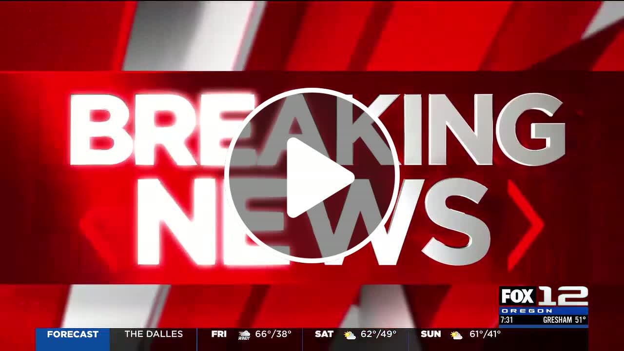 Portland Fire names Alex Sarama as head coach - NewsBreak