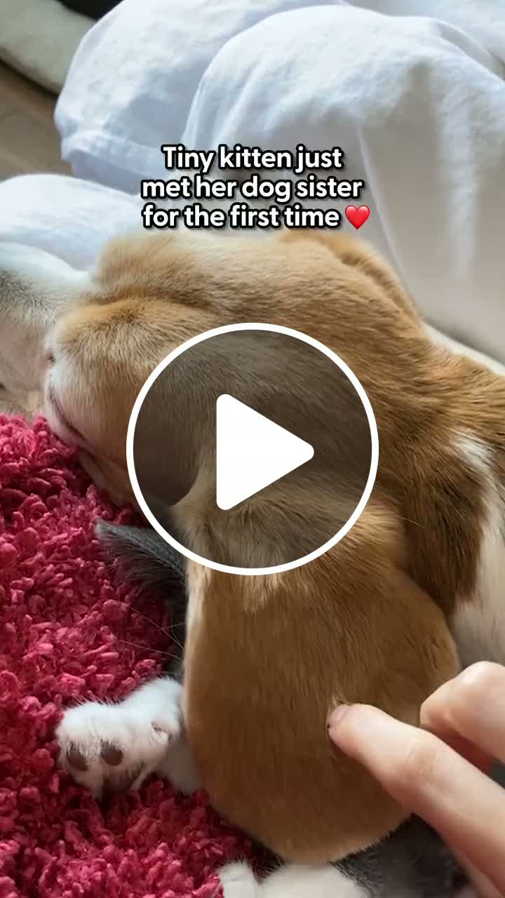 Wait until she becomes the "little spoon" - NewsBreak