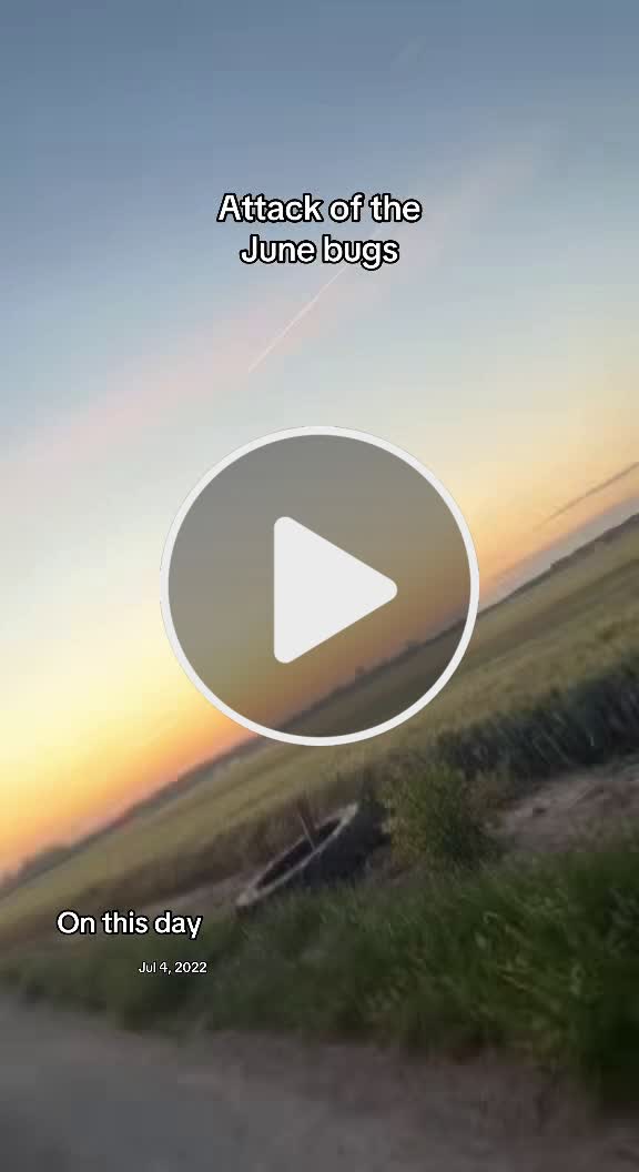 Girl takes dog for a walk but gets attacked by June bugs in hair ...