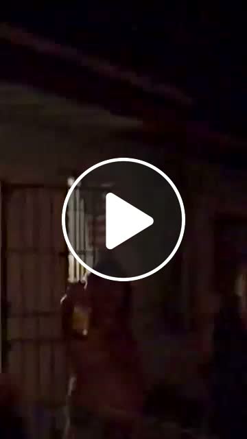 Neighbors Squabble Over a Stun Gun Incident #neighbors #cops # ...