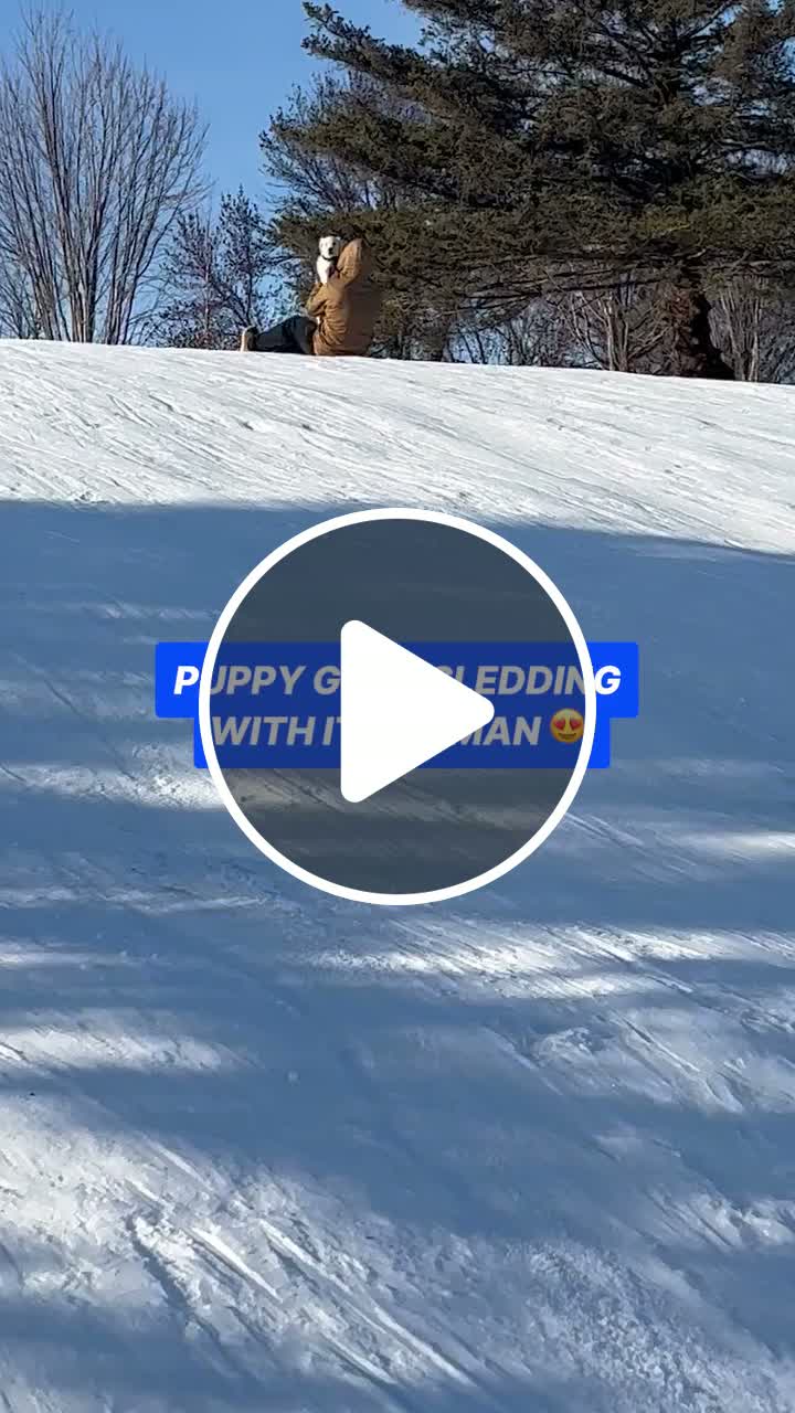 The way he scampered back to his mom - NewsBreak