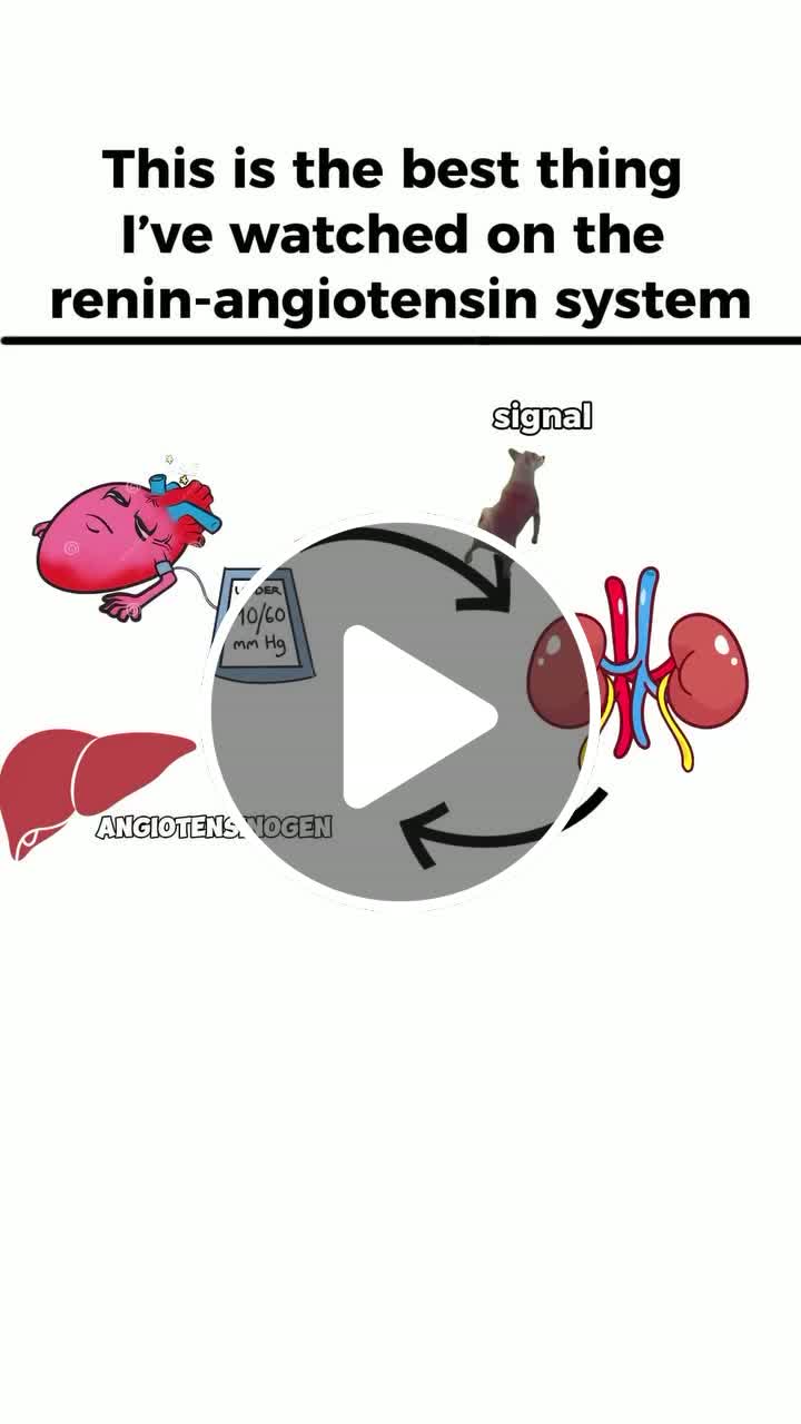 Ever wondered how your body controls blood pressure? The Renin ...