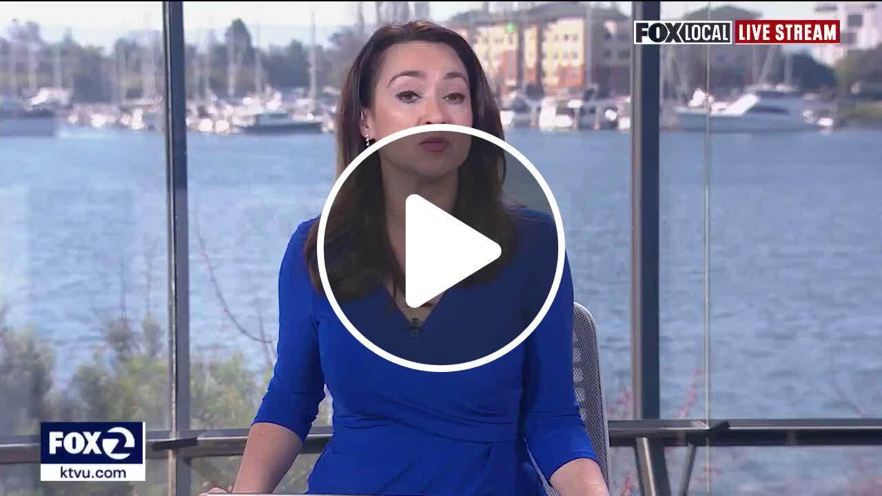 Slow down: Oakland kicks off speed camera program - NewsBreak