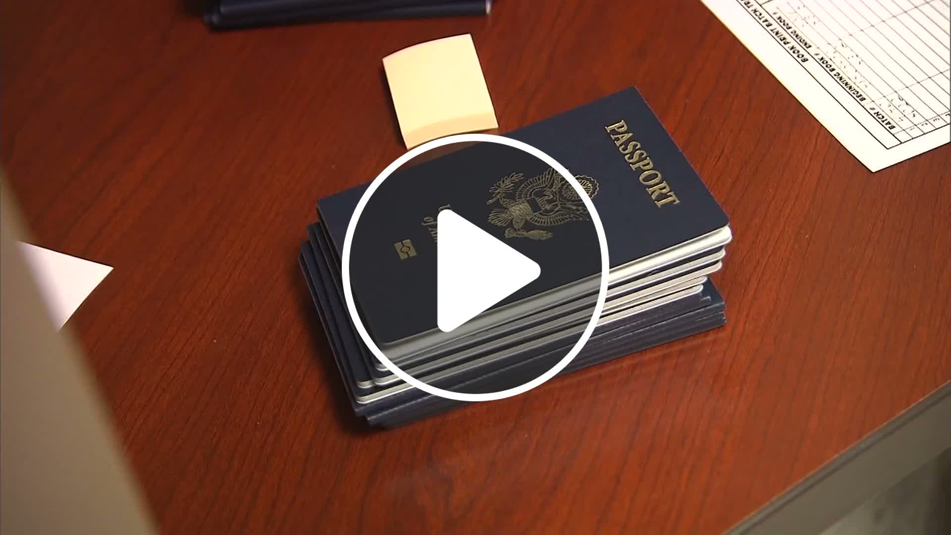 Baby kangaroo beats the heat in pool at Australian theme park - NewsBreak