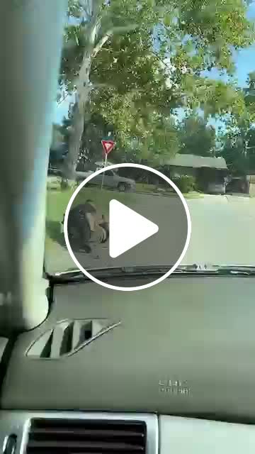 Jiu-Jiutsu Champion Saved Cop’s Life🫡😳 - NewsBreak