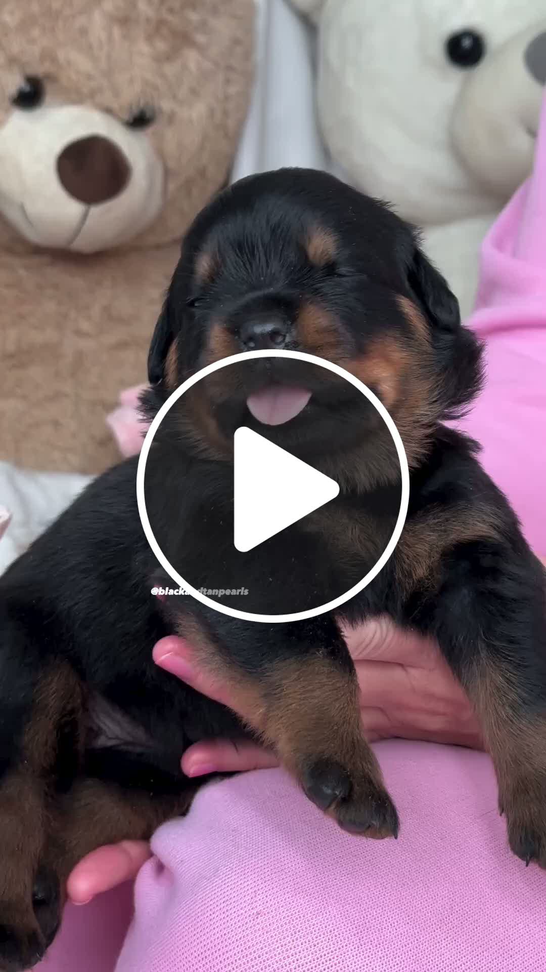 Watch Rep. Mike Lawler endorse Rep. Elise Stefanik for NY governor - NewsBreak