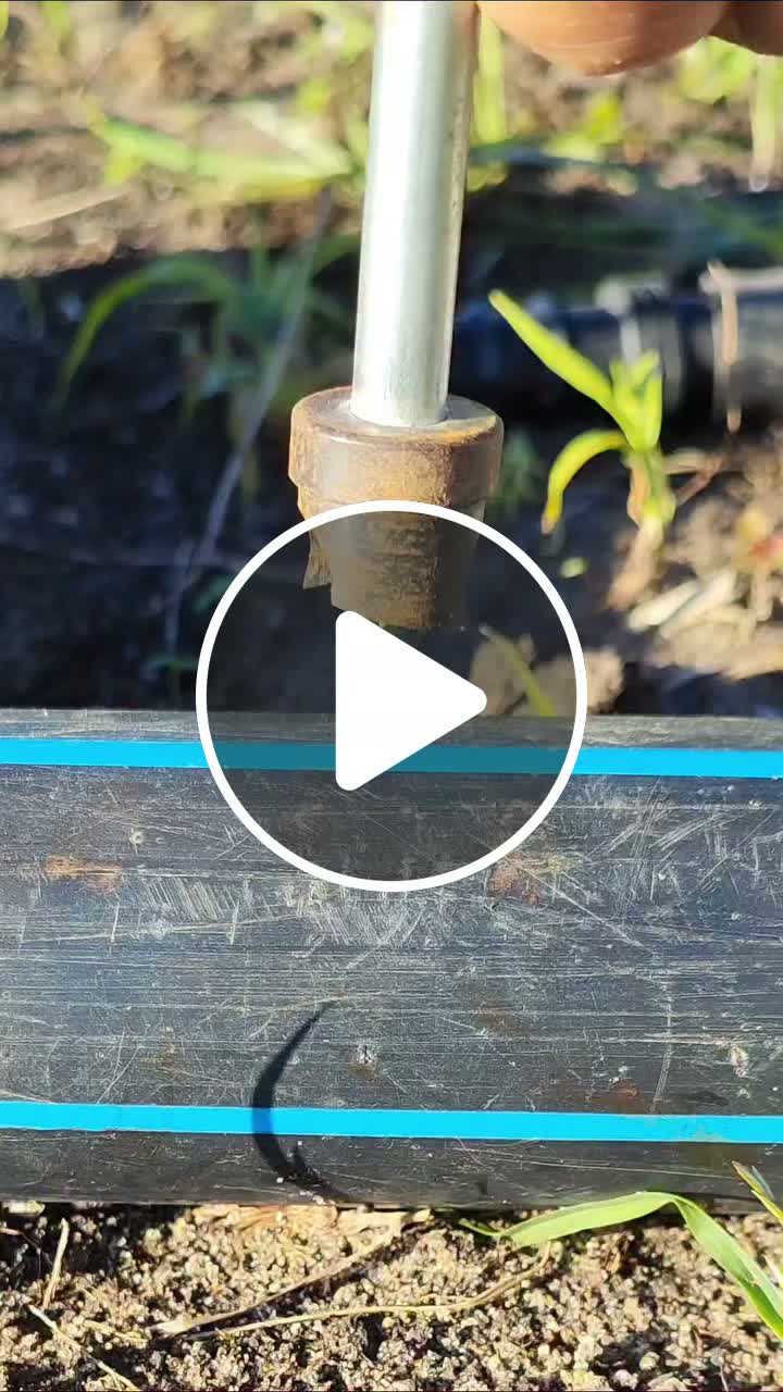 Attorney for Diamantis withdraws representation following his failure ...