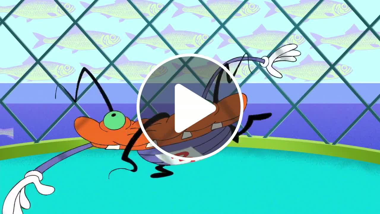 🏆 Which cockroach will win? #Oggy #OggyandtheCockroaches #Animation # ...