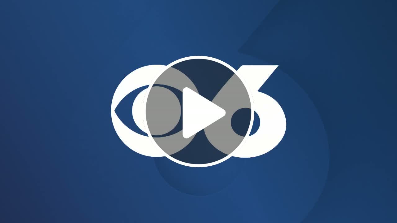 Paws for Pets: Audrey, a young, athletic dog with a great personality ...