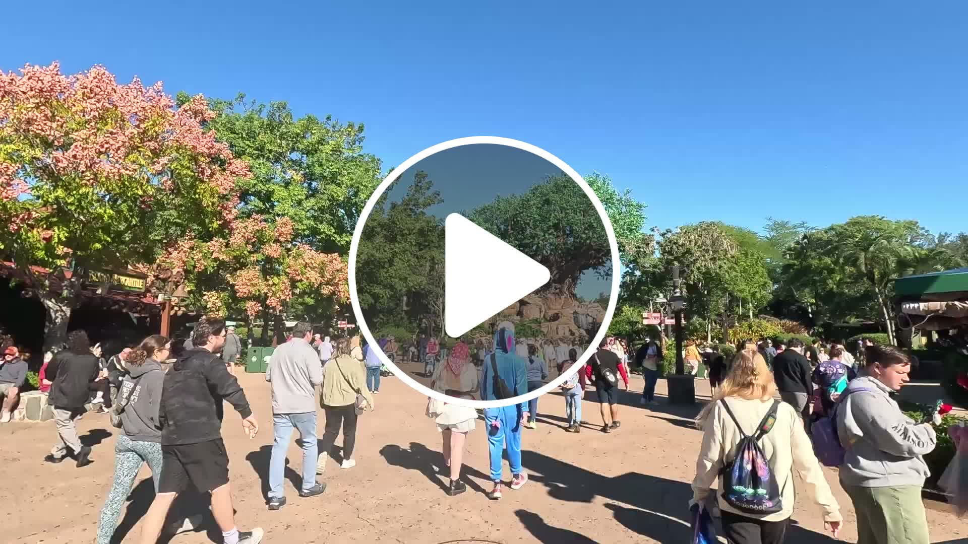 Zootopia: Better Zoogether Queue and Show Preview at Disney's Animal ...