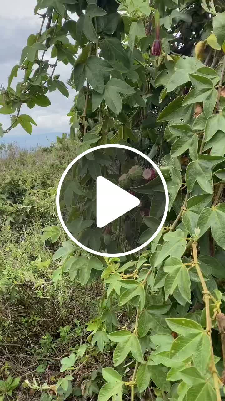 Sen. Elizabeth Warren Urges Democrats to “Vote These Republicans Out ...