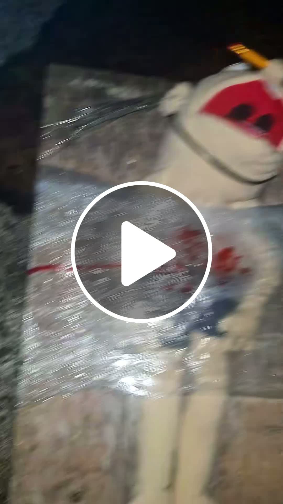 #gore #fight #brutal - NewsBreak
