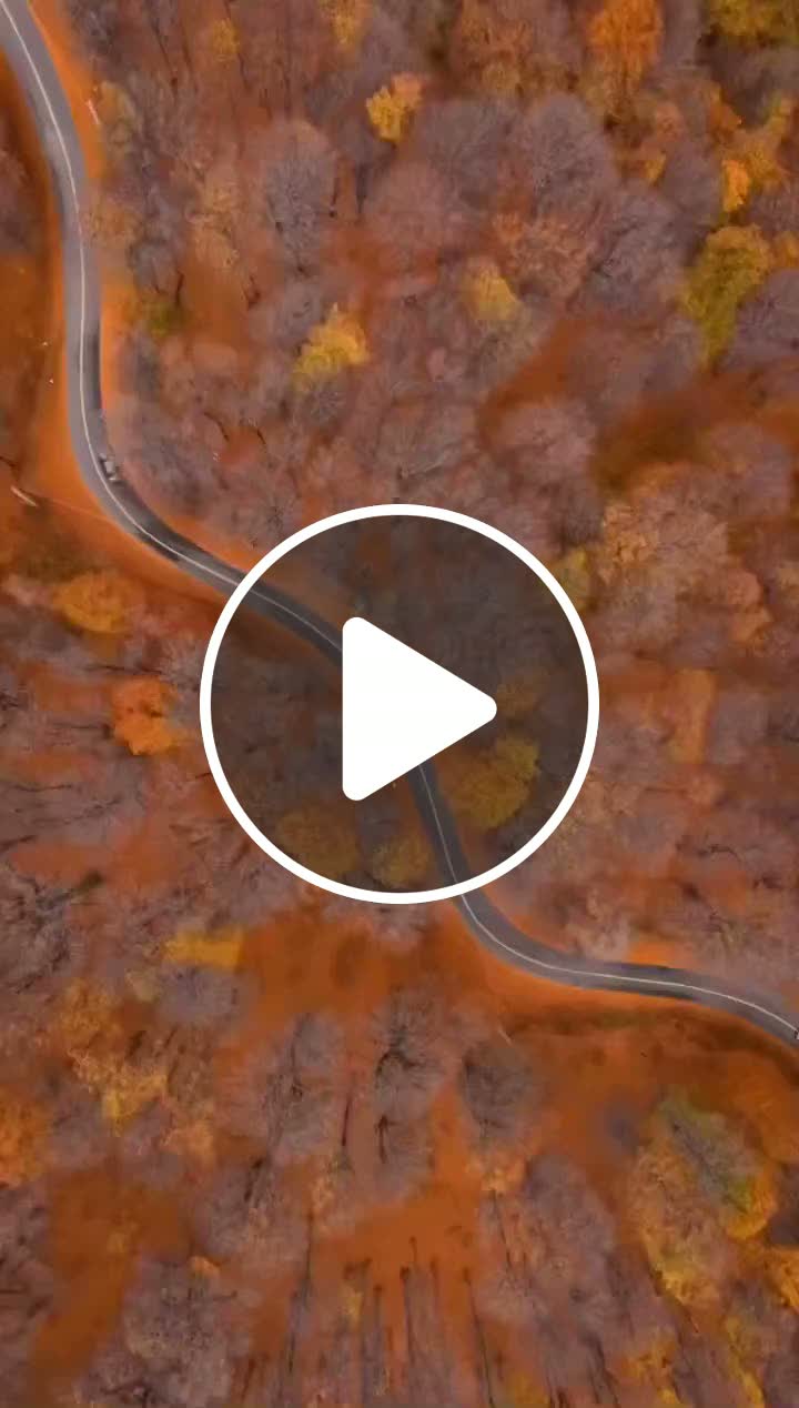 Autumn in Northern Iran. - NewsBreak