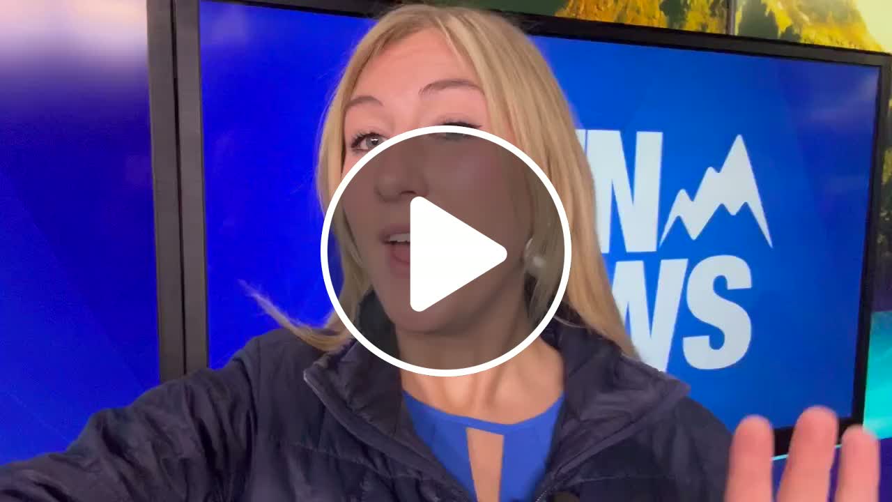Facts on pusley plant, nicknamed Florida snow weed - NewsBreak