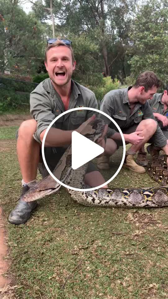 That's very long - NewsBreak