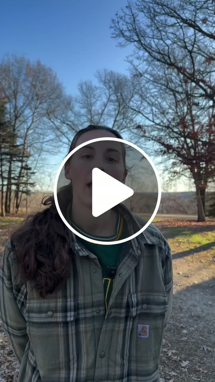 wait for it - NewsBreak