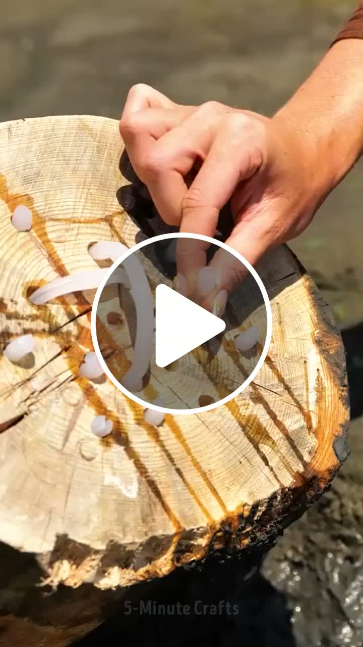 The Secret Materials Trees Provide - NewsBreak