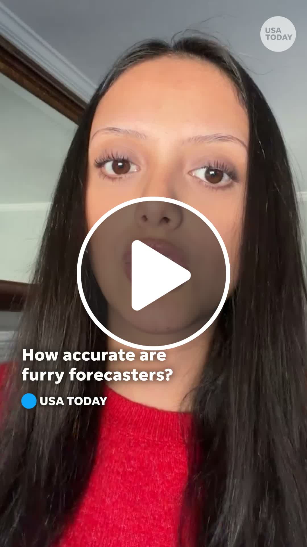 How accurate is Phil on Groundhog Day? See other furry forecasters ...