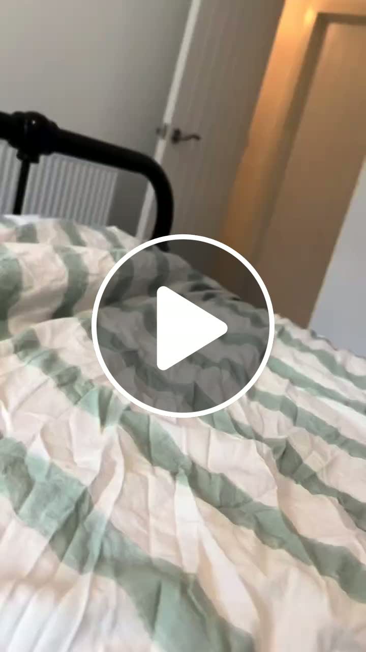 Just Donut being a donut by screaming at random doors catsoftiktok ...