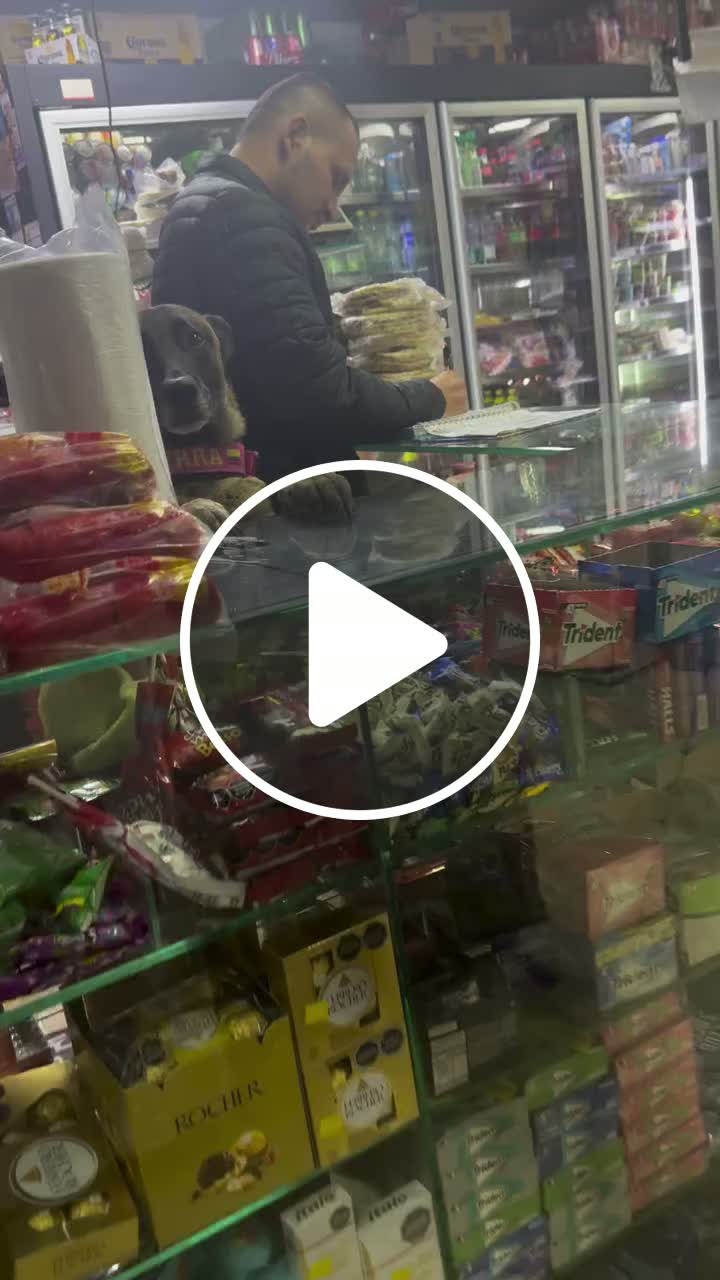 SNL Vet Terry Sweeney Did Not Mince His Words While Reacting To Chevy ...