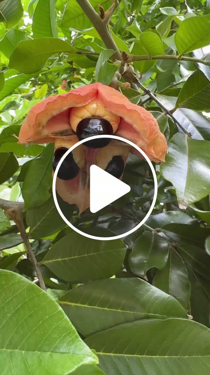 Friends actor announces candidacy for NYC mayor after railing against ...