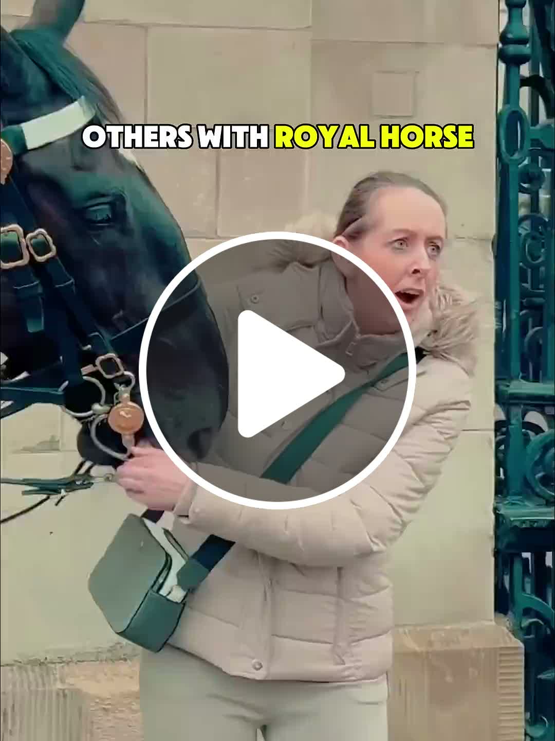 The King’s Guard Horse Recognized the Pure Hearts 🐴 ️ - NewsBreak