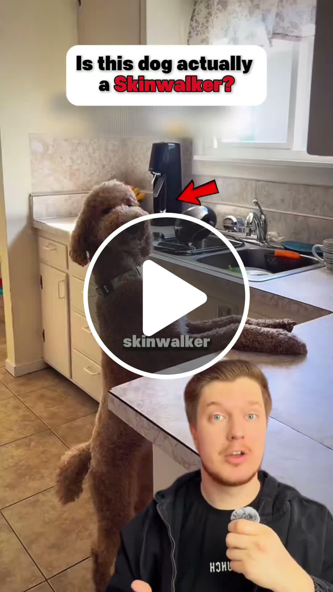 They thought their dog's behavior was just strange… until they did the ...