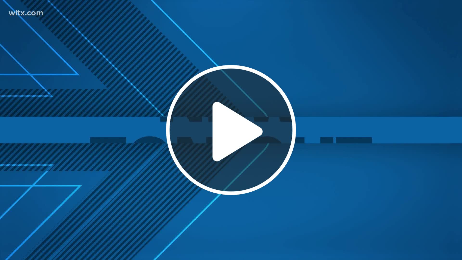 Celebration of life announced for legendary Gamecock quarterback Steve ...