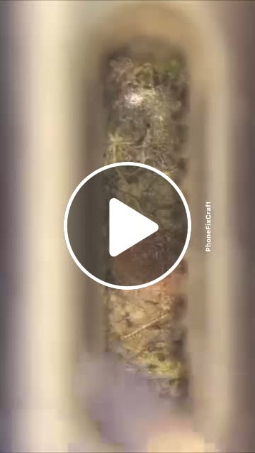 #satisfying Fully Packed Charging Port #cleaning Under The #microscope ...
