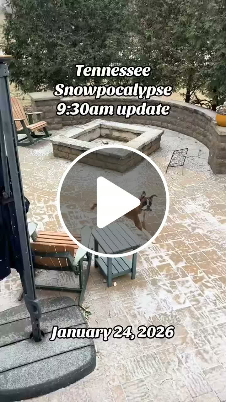 TN Snowpocalypse Jan 24 930am Update - NewsBreak