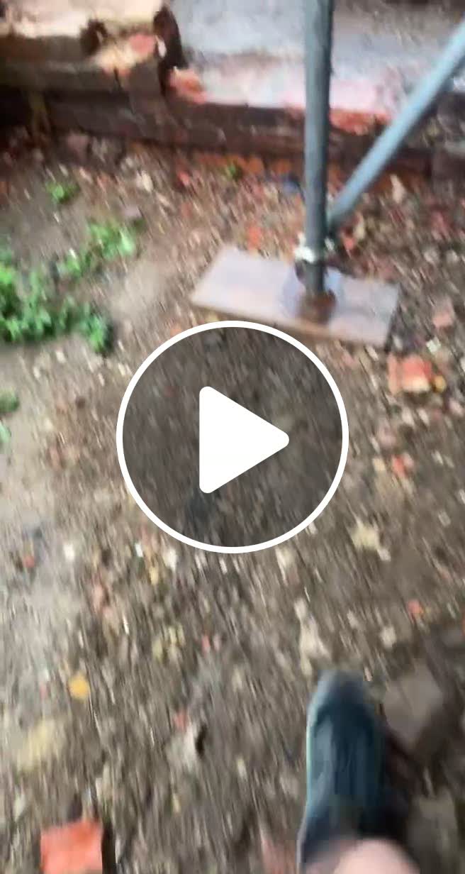 Fox refuses camera attention and runs off a slippery tube - NewsBreak