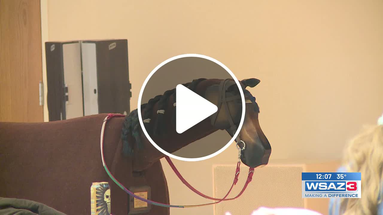 First aid for horses and humans - NewsBreak