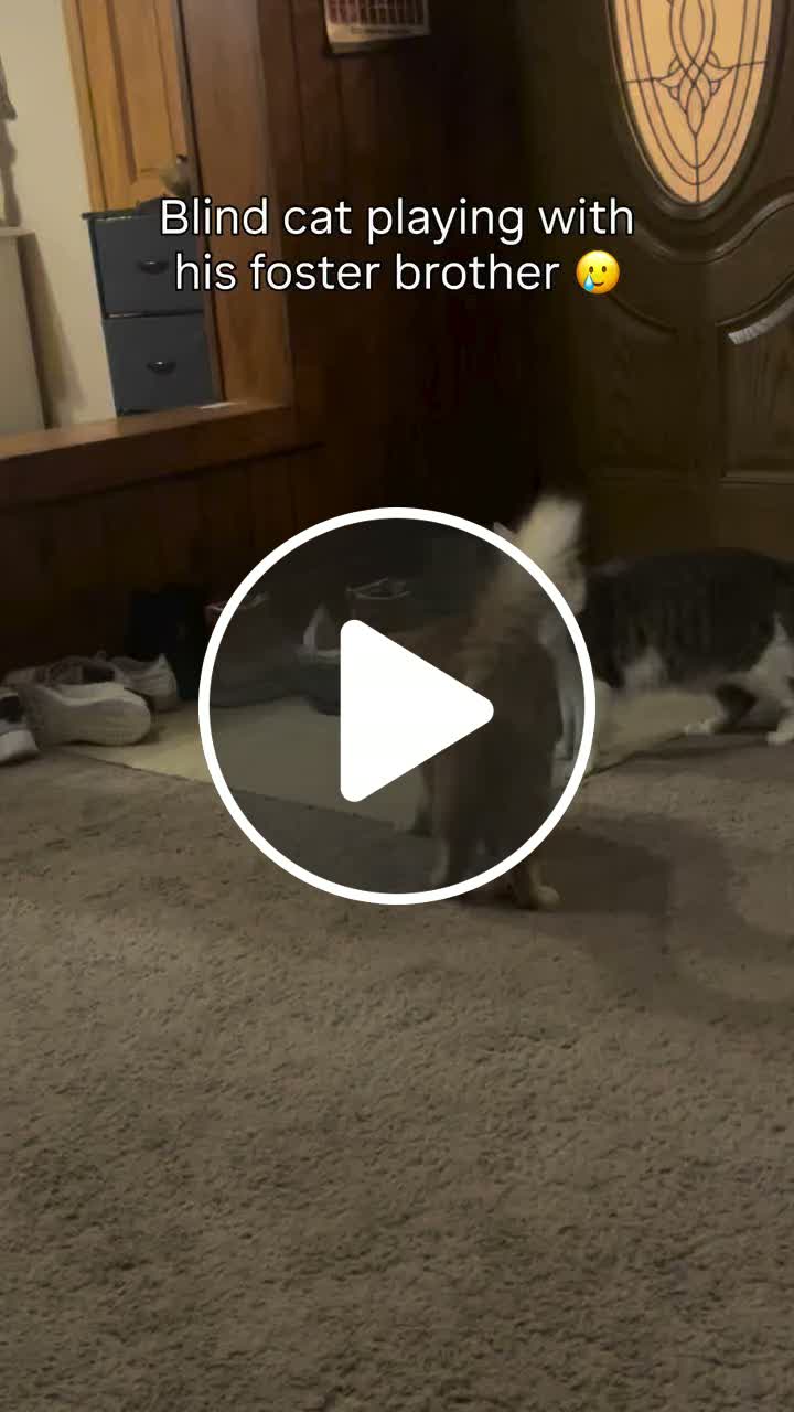 Gospel singer Richard Smallwood dies at 77, leaving a legacy that ...