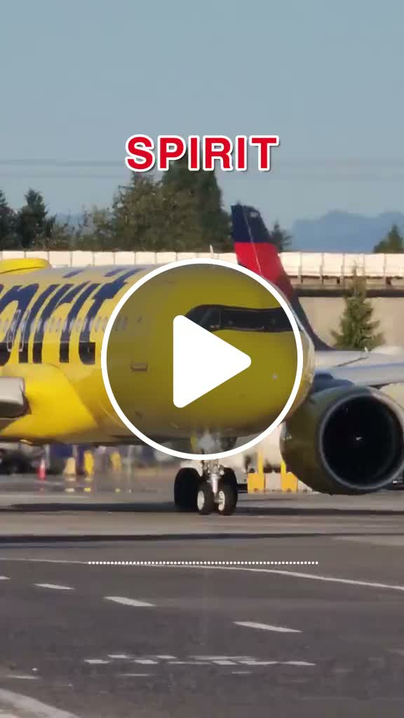 Spirits SMART Suitcase Goes ROGUE Rookie GRABS Wrong Stealth Bomber ...