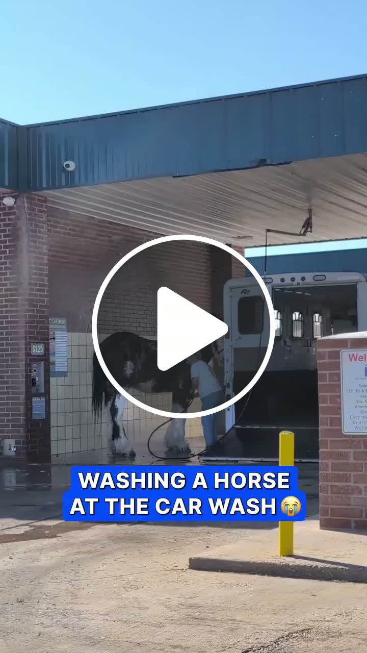 They dont only wash cars here - NewsBreak