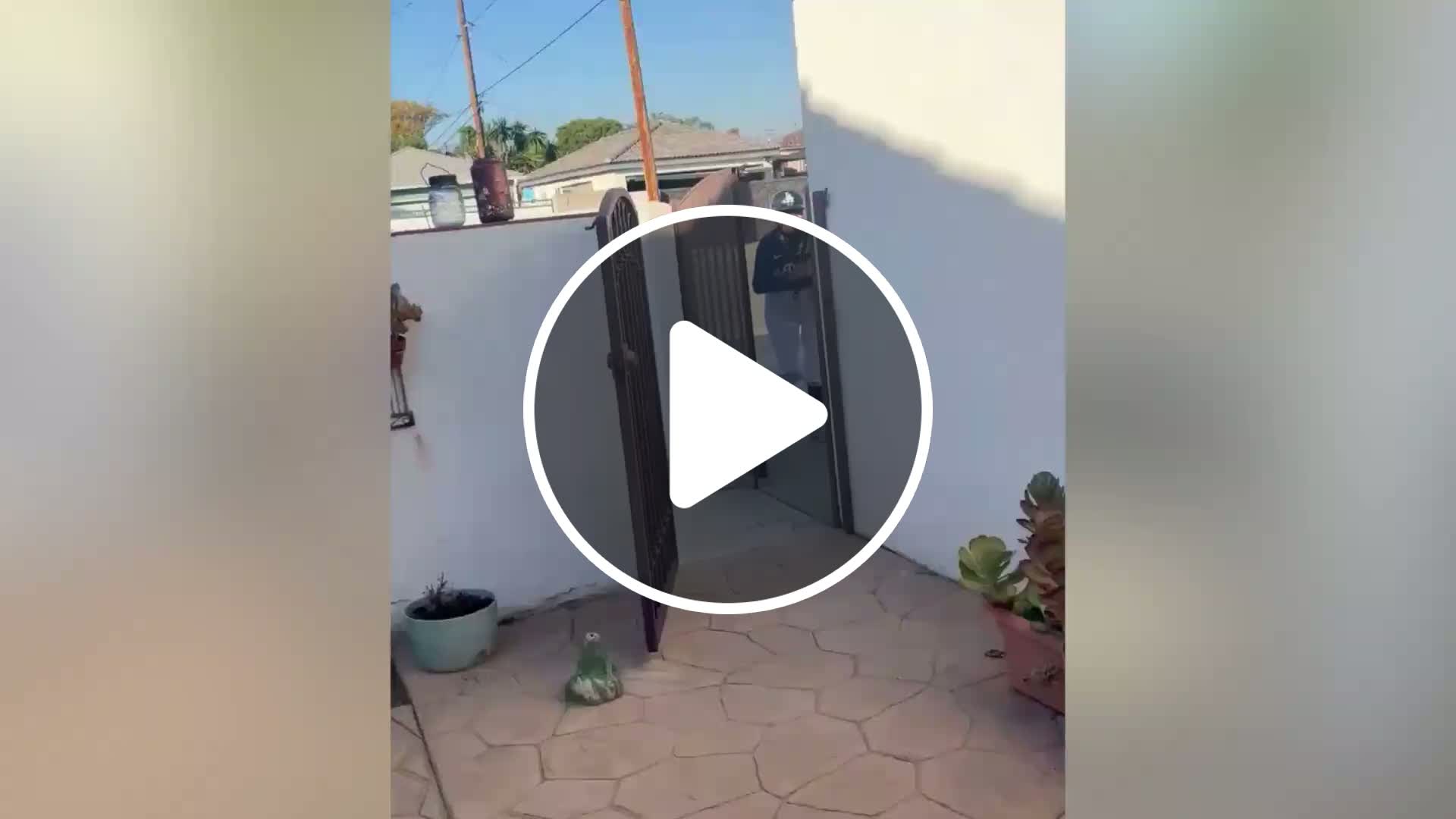 At 99, L.A. native falls for Dodgers – and Mookie Betts - NewsBreak