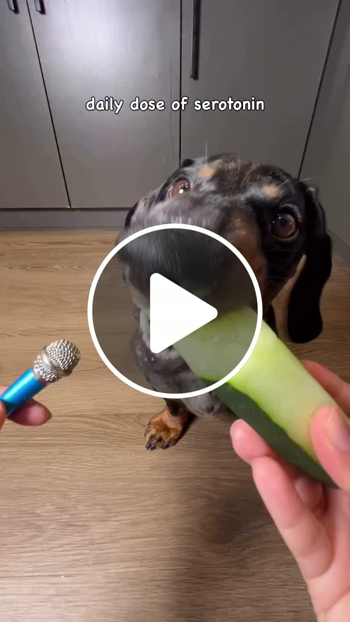 NYC Mayor Mamdani ‘Outraged’ After City Staffer With Work Permit ...