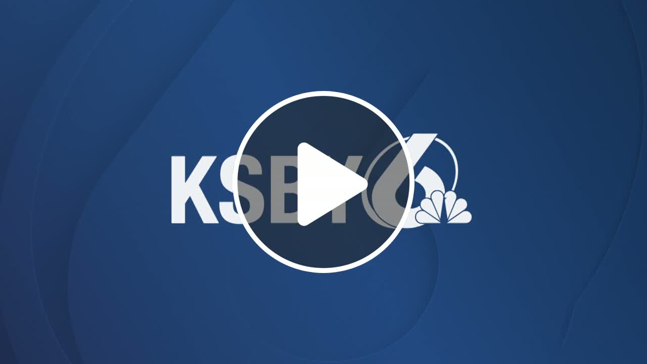 Cal Poly's Rose Parade float wins top honors! - NewsBreak