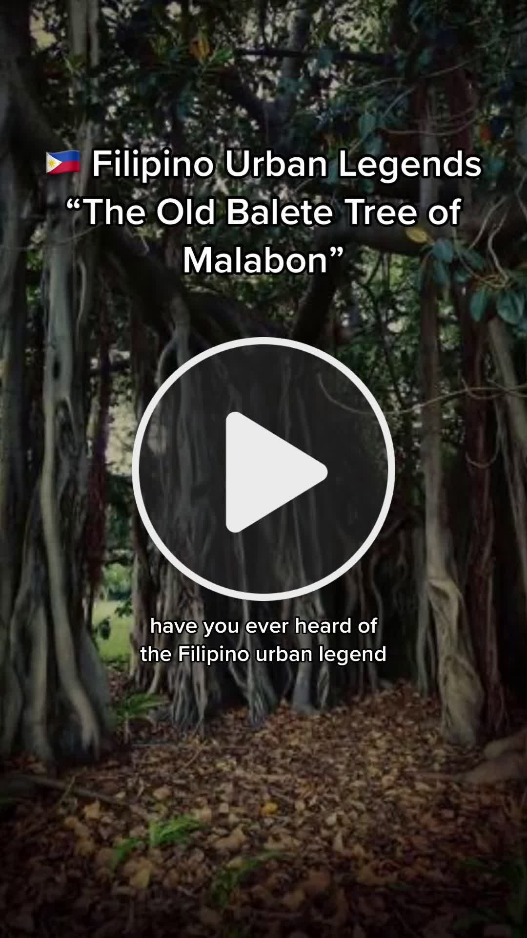 Filipino Urban Legends- The Old Balete Tree of Malabon #filipinotiktok ...