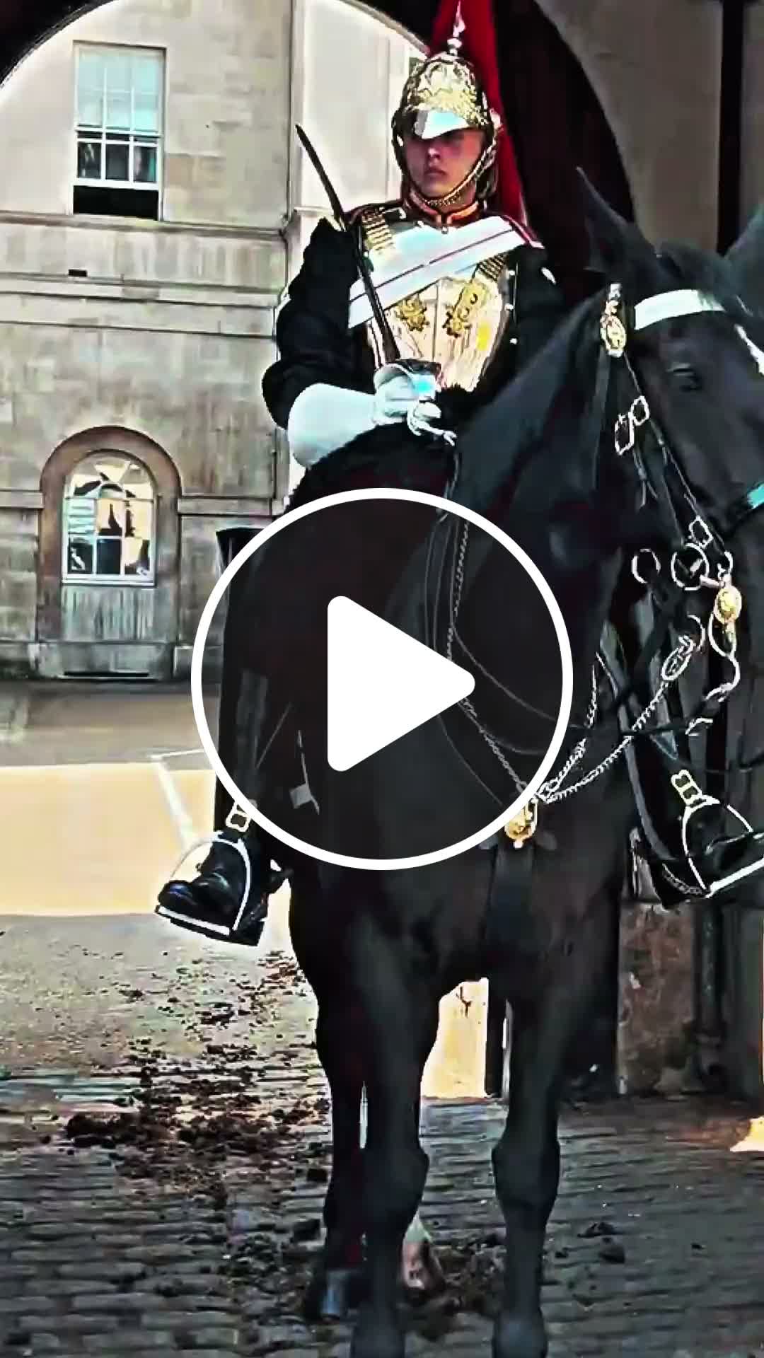 disrespectful kingsguard #kingsguard #peterellis #horseguardsparade # ...