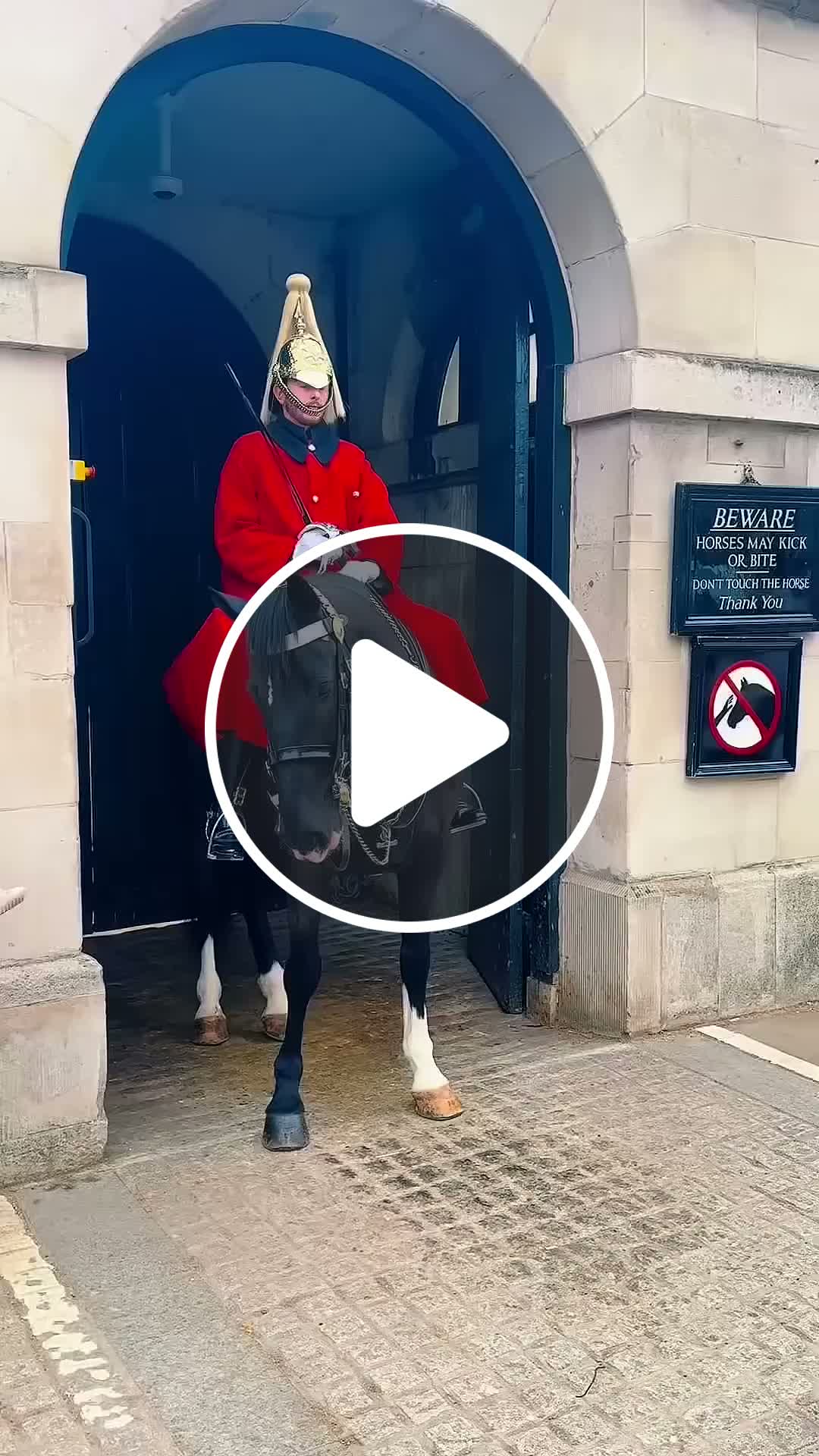 When a horse meets a Baby#kingguard #royalguard #horseguardsparade # ...