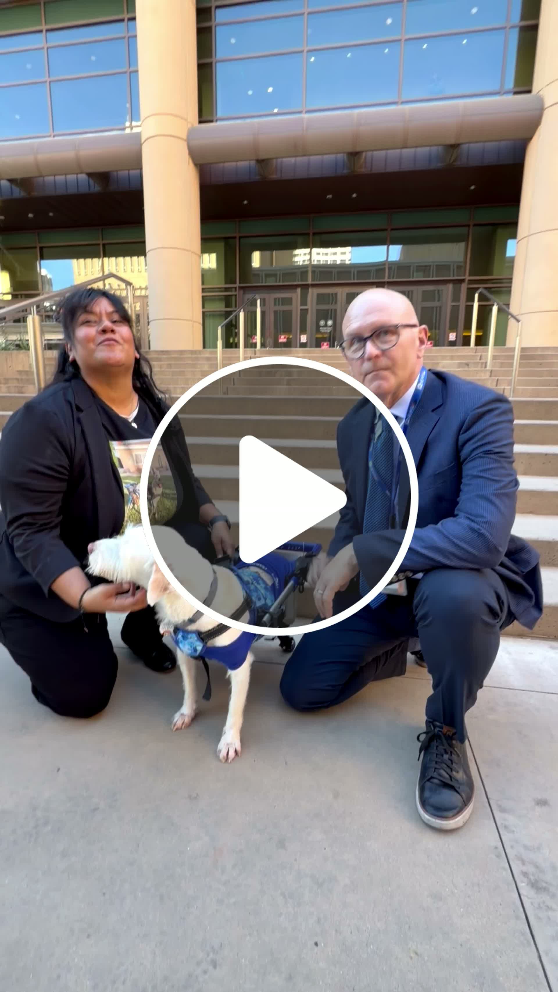 April McLaughlin of Chandler sentenced to prison for stealing from her ...