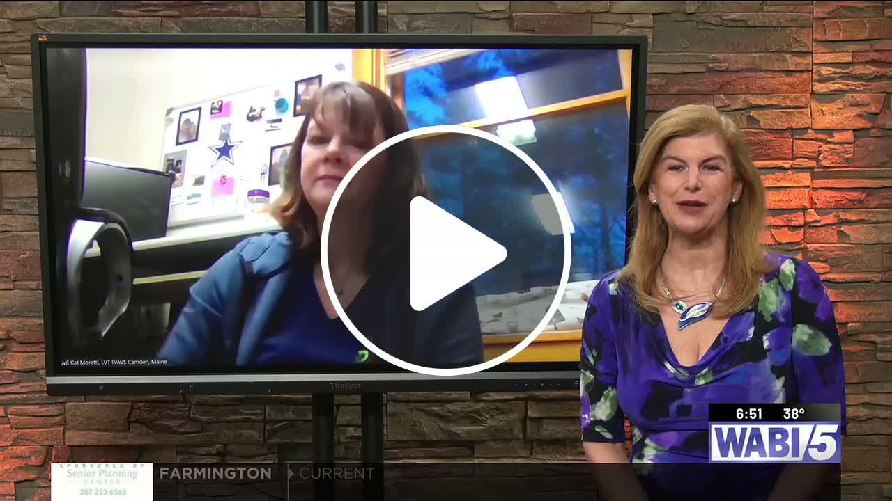 Paws Adoption Center: Meet Bobbi! - NewsBreak