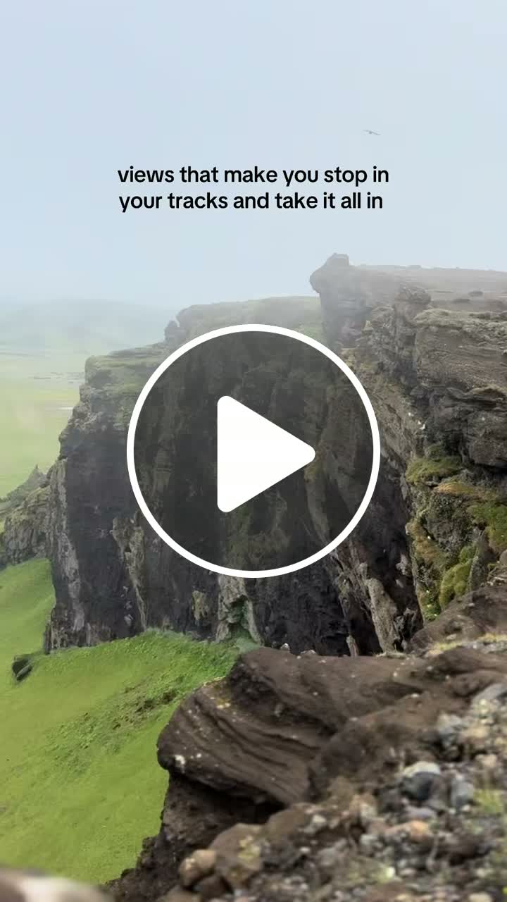 Discover breathtaking views and rare puffins in Iceland! 🥹 #Wildlife # ...