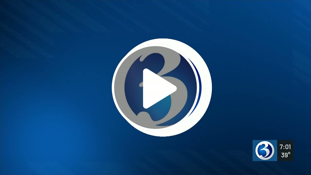 Majority of voters disapprove of ICE immigration enforcement, poll ...