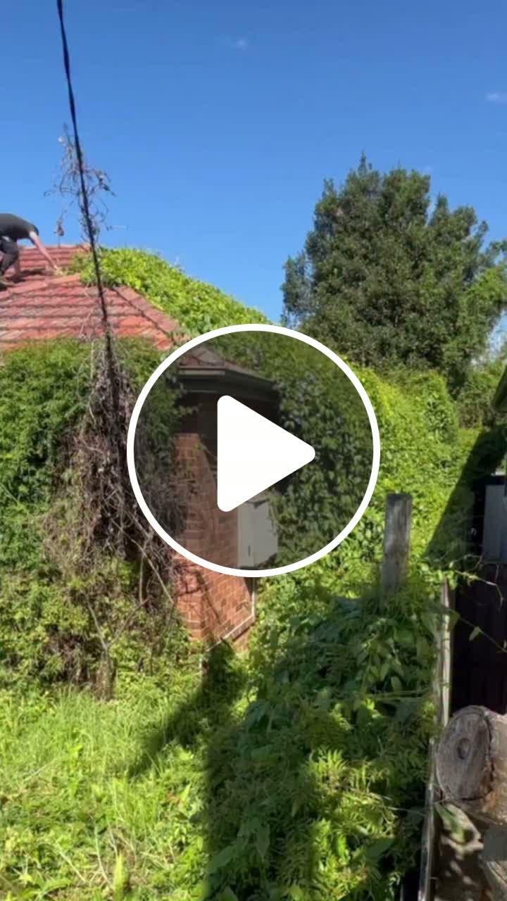 How Is This America First?’ CNN Anchor Grills House Republican ...