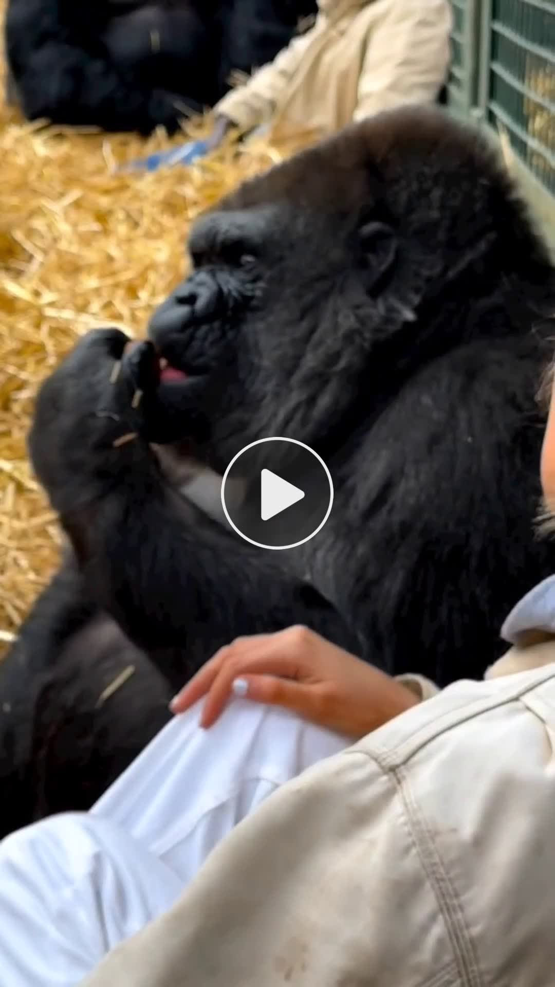 My lovely second family @theaspinallfoundation is the only foundation ...